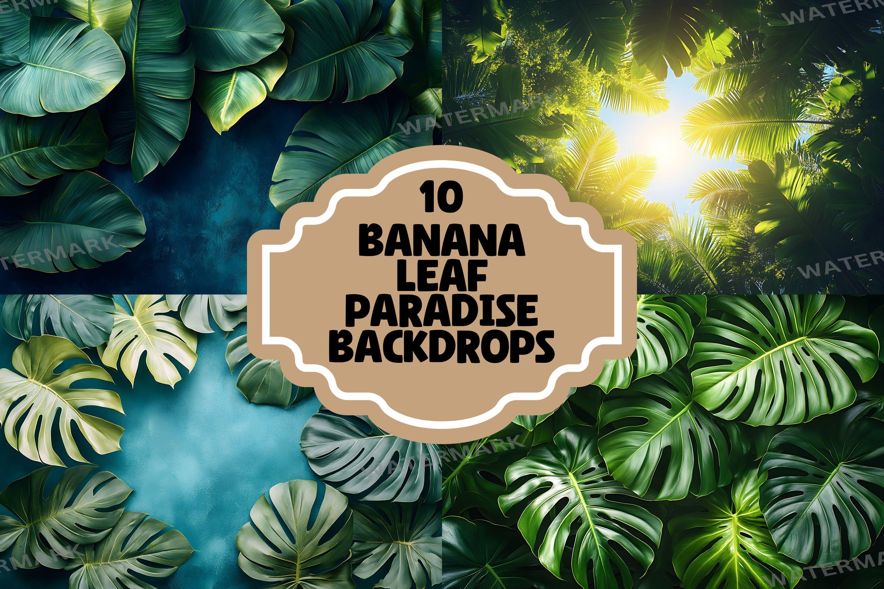 10 Banana Leaf Paradise Photography Backdrops | Digital Jungle Studio ...