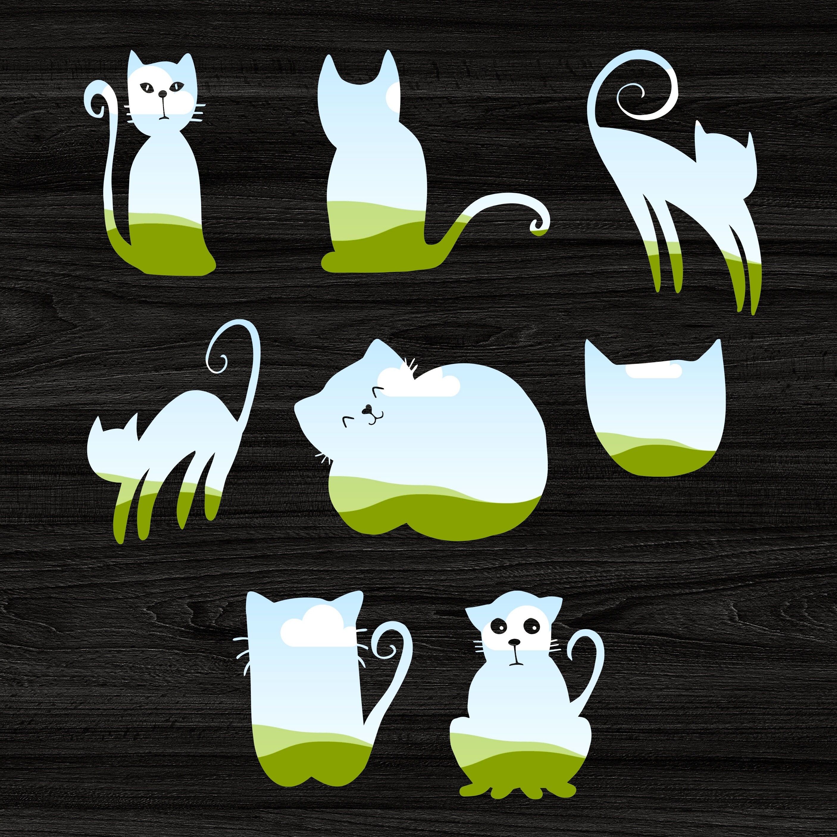 Cat Canva Frames Drag and Drop Cat Canva Templates PNG Designs Cat ...