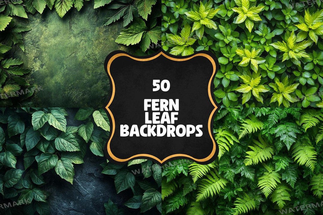 50 Warm Aesthetic Fern Leaf Backdrops for Photography - 6000x4000px ...