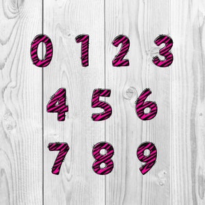 Zebra Pattern Alphabet Doodle Letters PNG Set Doodle Alphabet Pngs ...