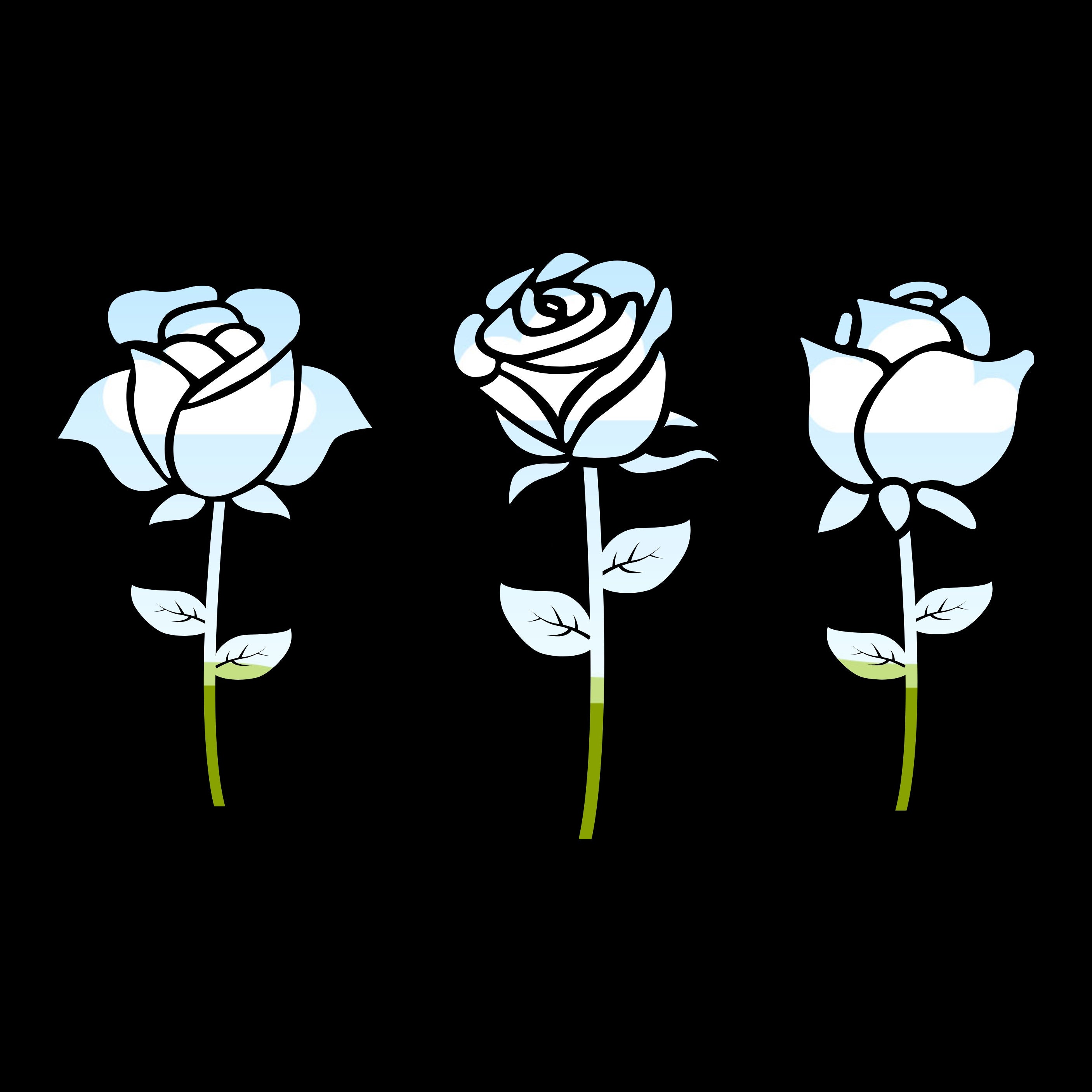 Rose Canva Frames Drag and Drop Rose Floral Canva Templates - Etsy