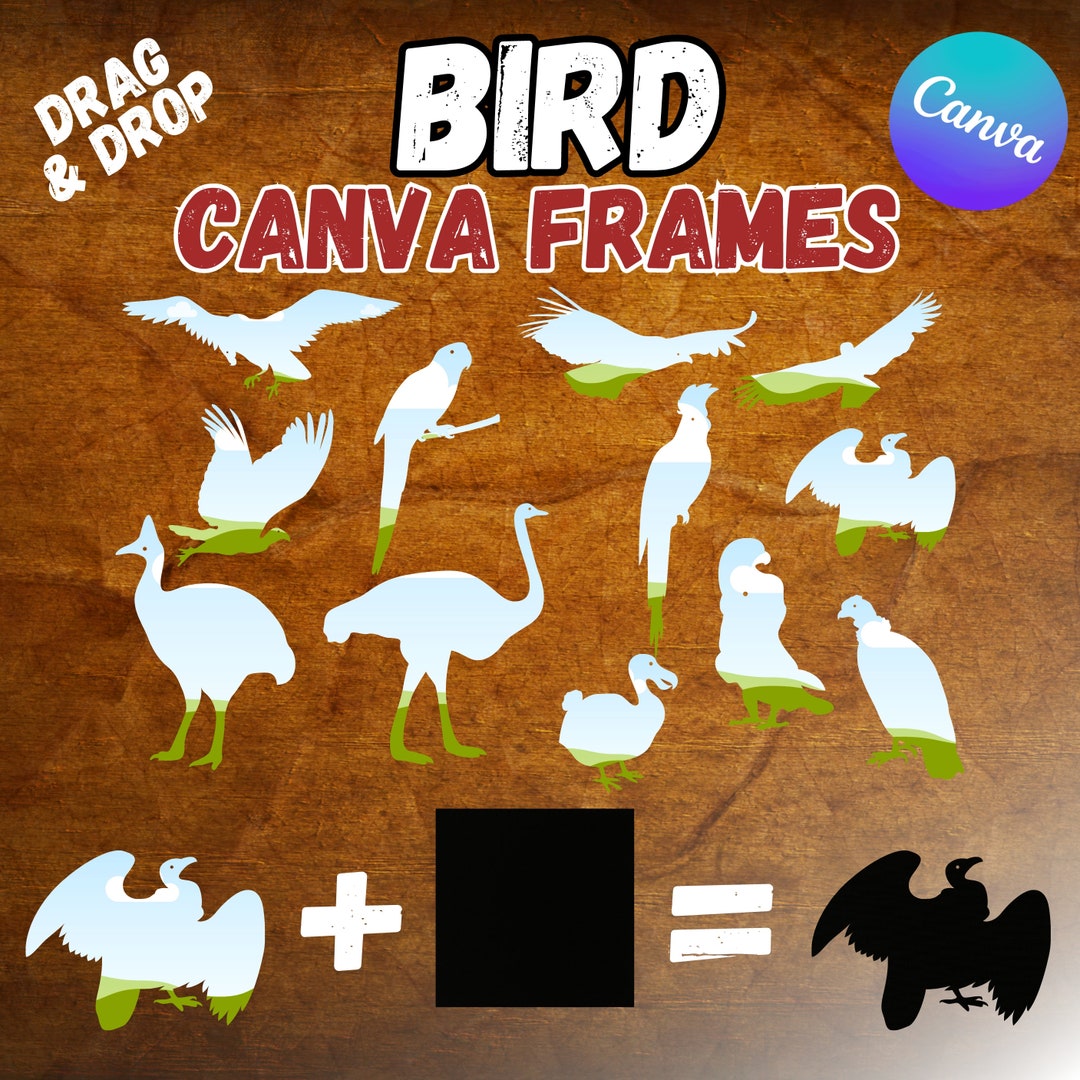 Bird Canva Frames Drag and Drop Birds Canva Templates Nature - Etsy