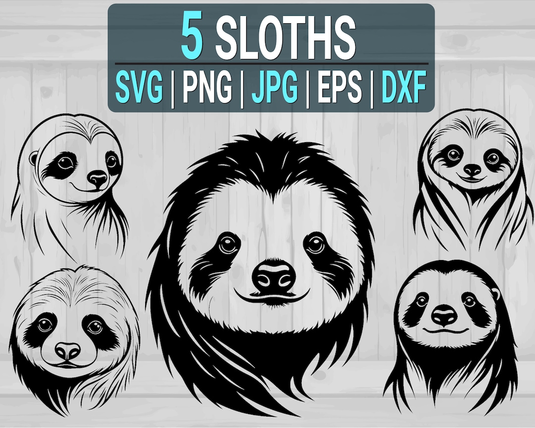 5 SVG Bundle Transparent PNGS DXF Sloth Designs Clipart Sublimation ...