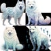Haunting Samoyed Skeleton Clipart, Samoyed Skeleton Clipart, Haunting ...