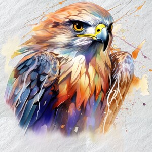 Falcon Lightning Clipart, Falcon Lightning Bolt Art, Majestic Bird of ...