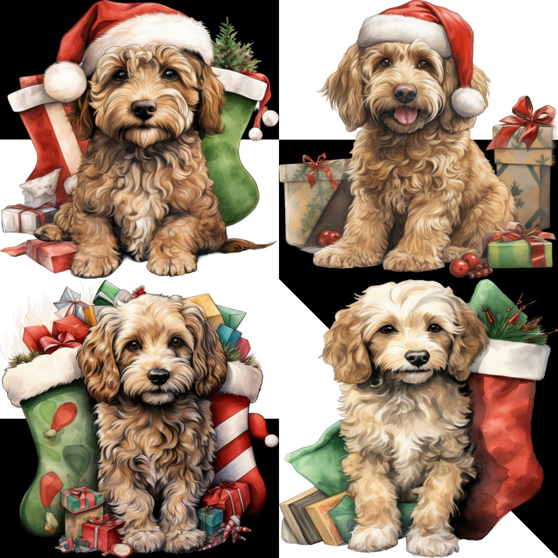 Gleeful Cockapoo Christmas PNG, Celebrate Christmas With Cockapoos ...