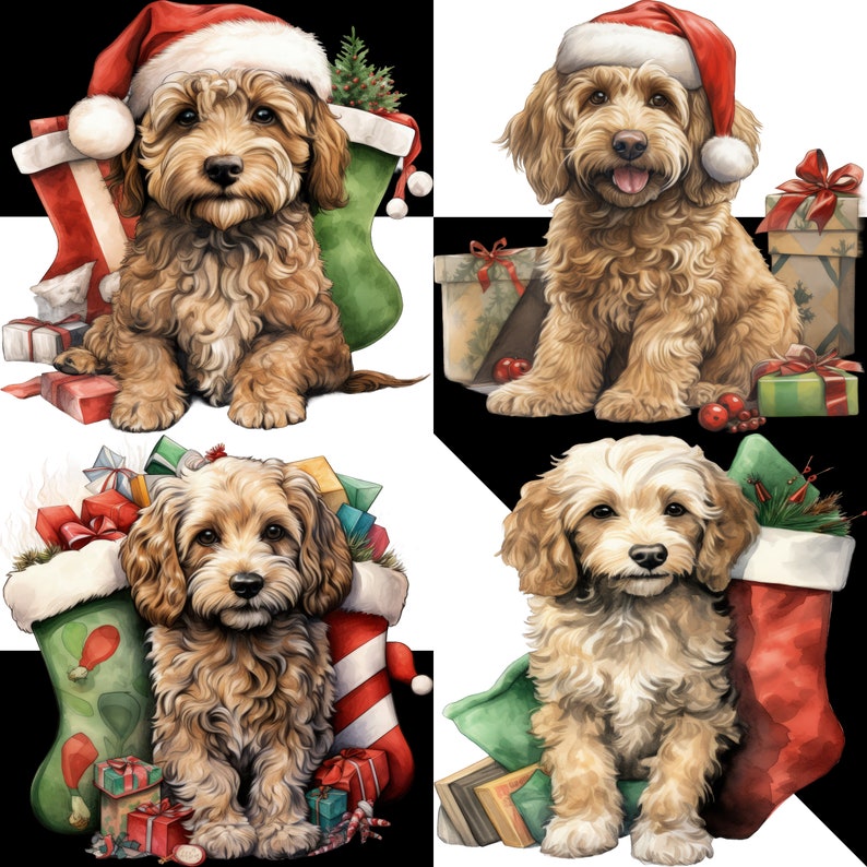 Gleeful Cockapoo Christmas PNG, Celebrate Christmas With Cockapoos ...