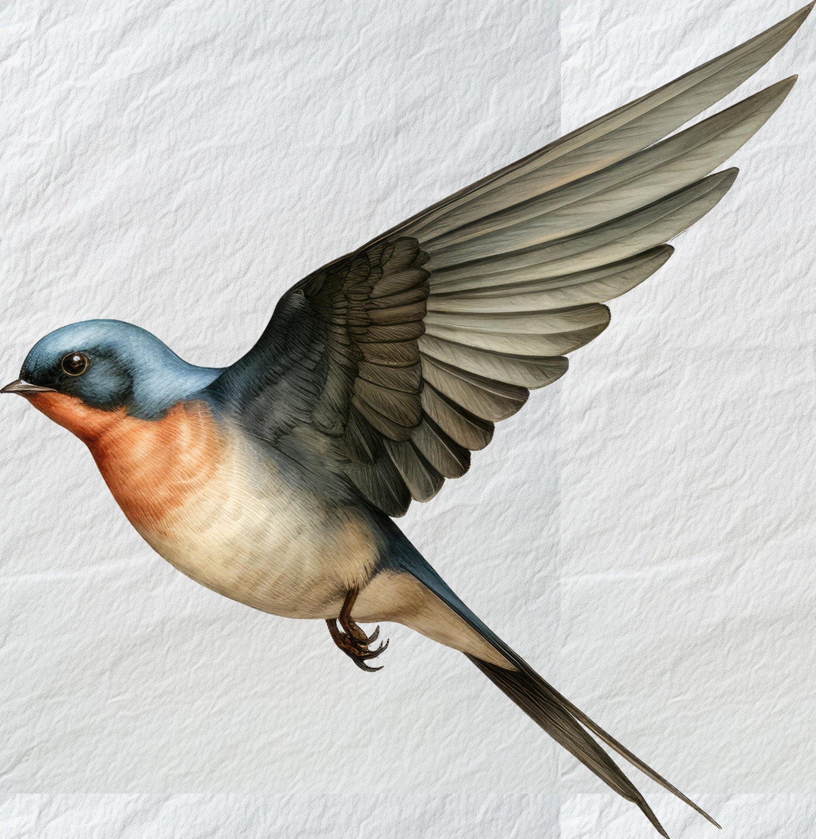 Christmas Heartwarming Swallow PNG Clipart Christmas Swallow - Etsy