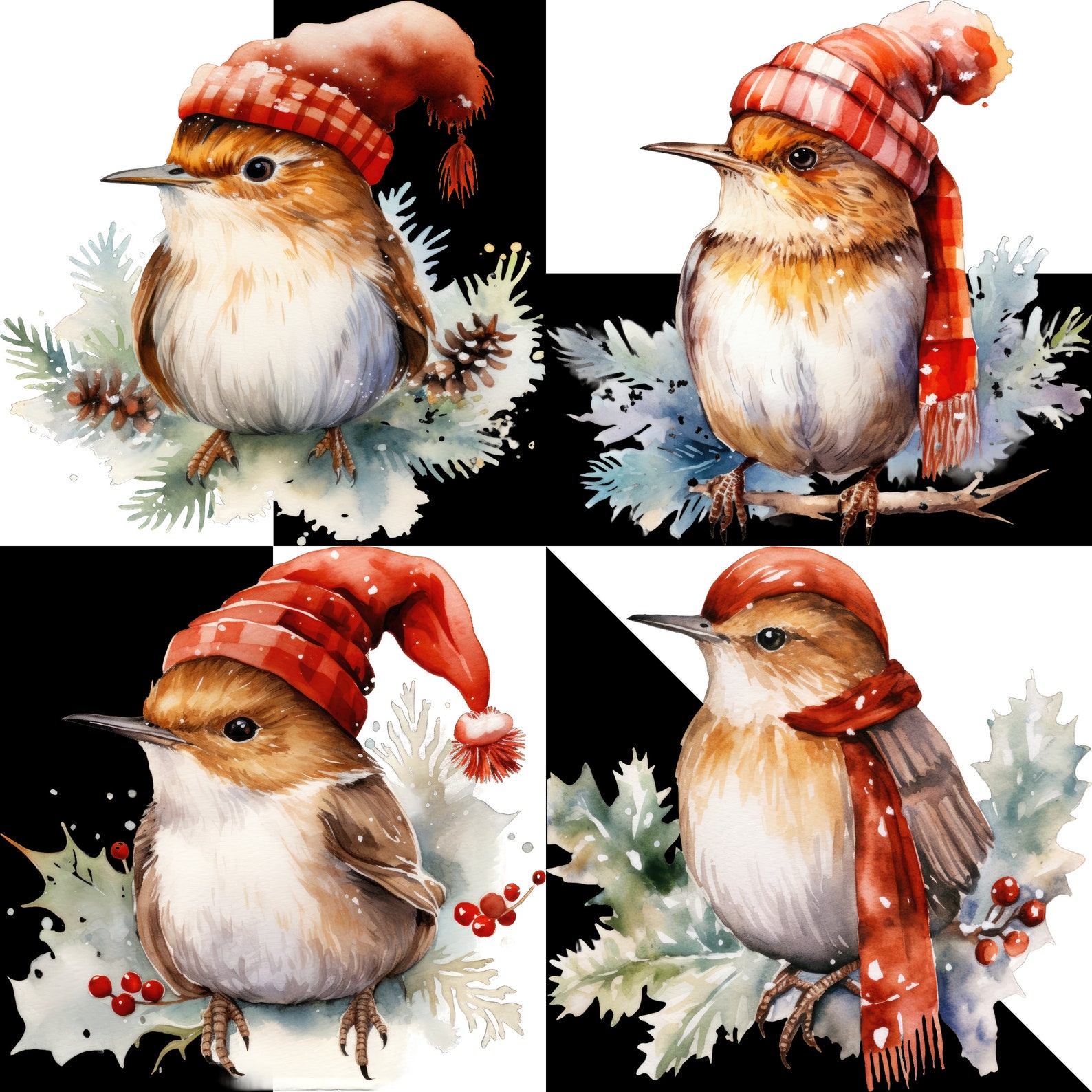 Rufous Wren With Santa Cap and Scarf Watercolor PNG Clipart, Rufous ...