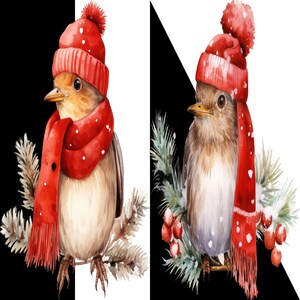 Red Wren With Santa Cap and Scarf Watercolor PNG Clipart,christmas Bird ...