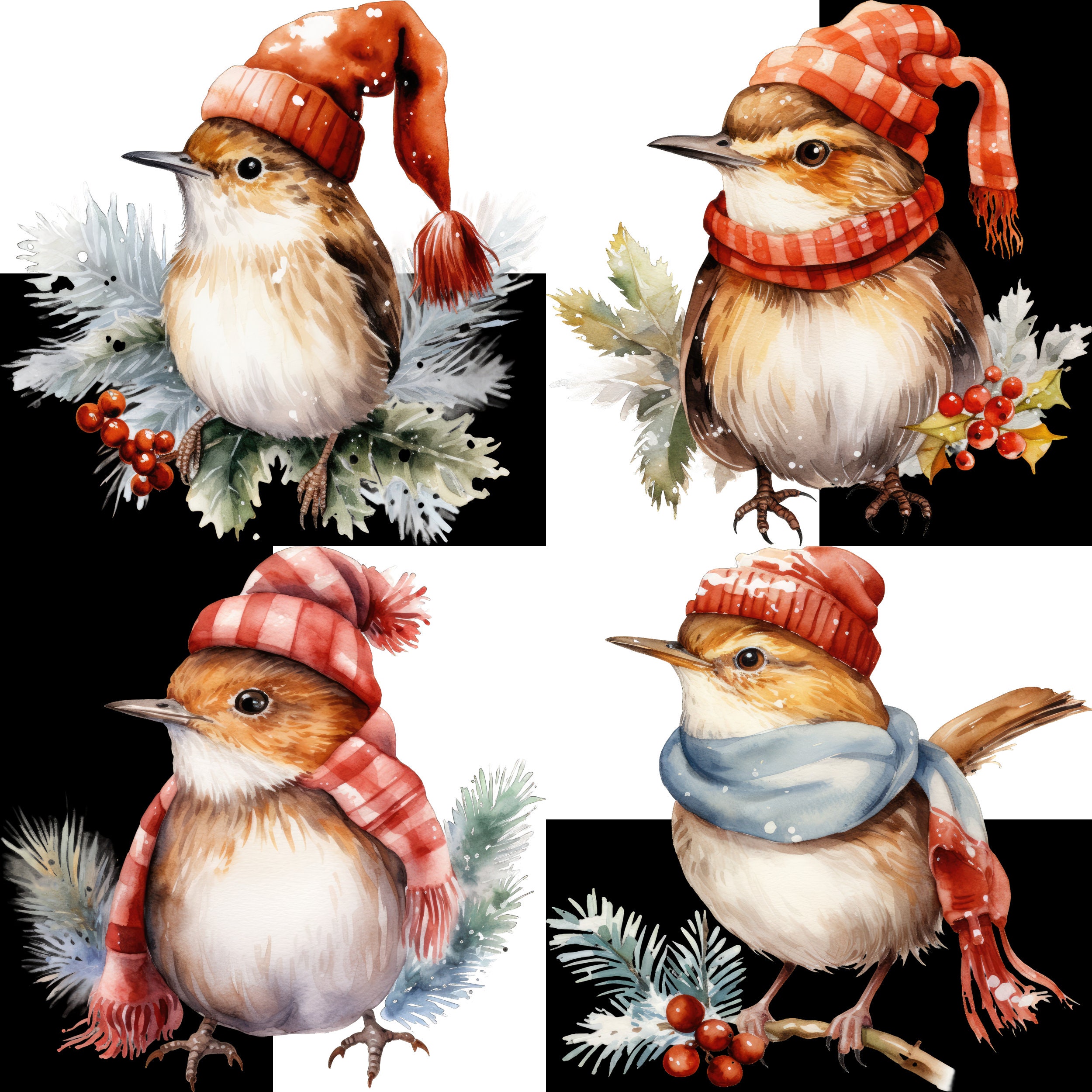 Rufous Wren With Santa Cap and Scarf Watercolor PNG Clipart, Rufous ...
