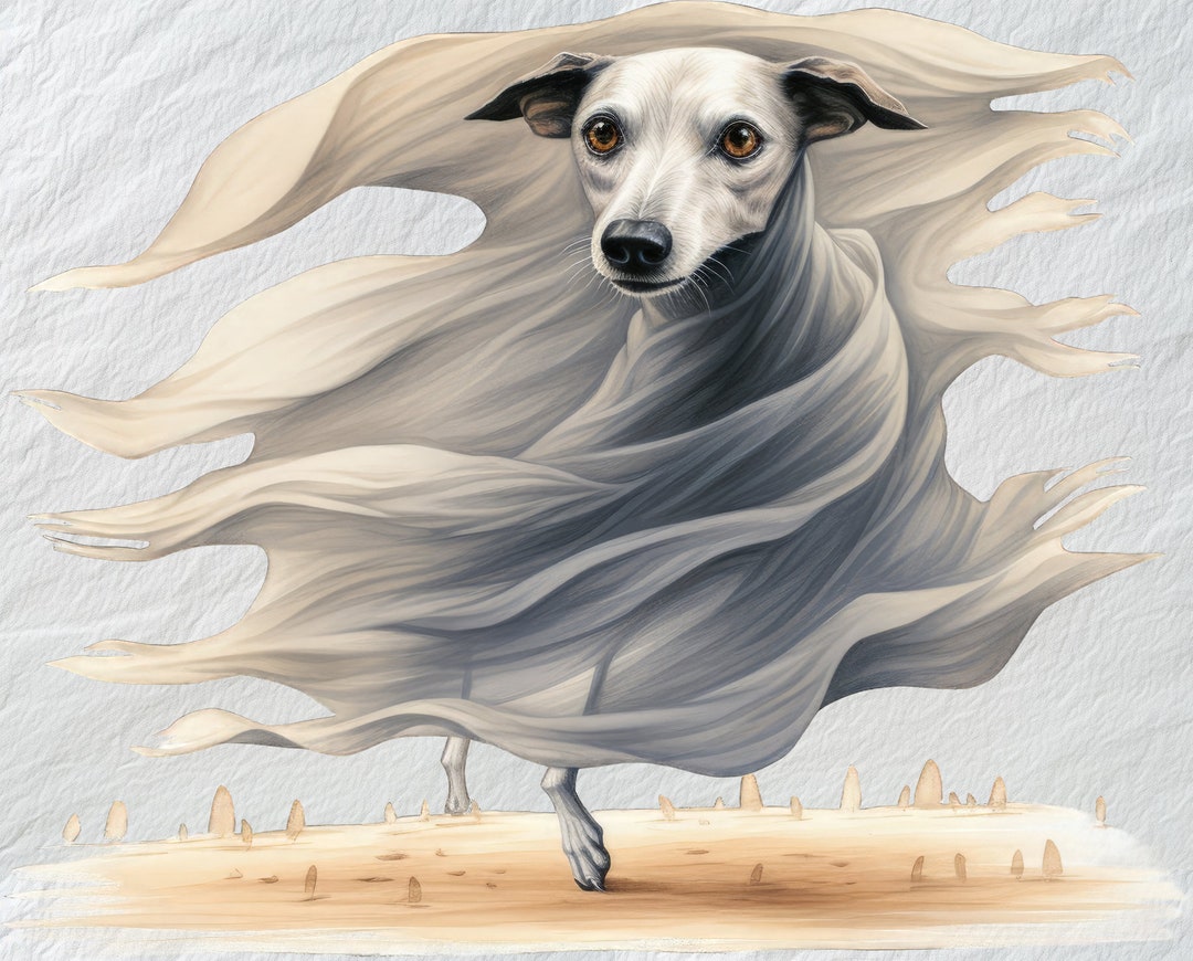 Spooky Whippet Halloween PNG, Spooky Night With Whippet: Halloween PNG ...