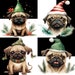 Festive Pug Elf Ears Clipart, Christmas Dog, Festive Pet Art, Pug ...