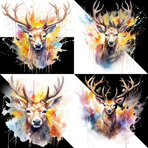 Arctic Majesty: Reindeer's Arctic Charge, Frozen Wilderness Reindeer's ...