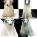 Spooky Borzoi Halloween PNG, Ghost Dog Halloween,eerie Borzoi Halloween PNG Clipart ,creepy Dog ...