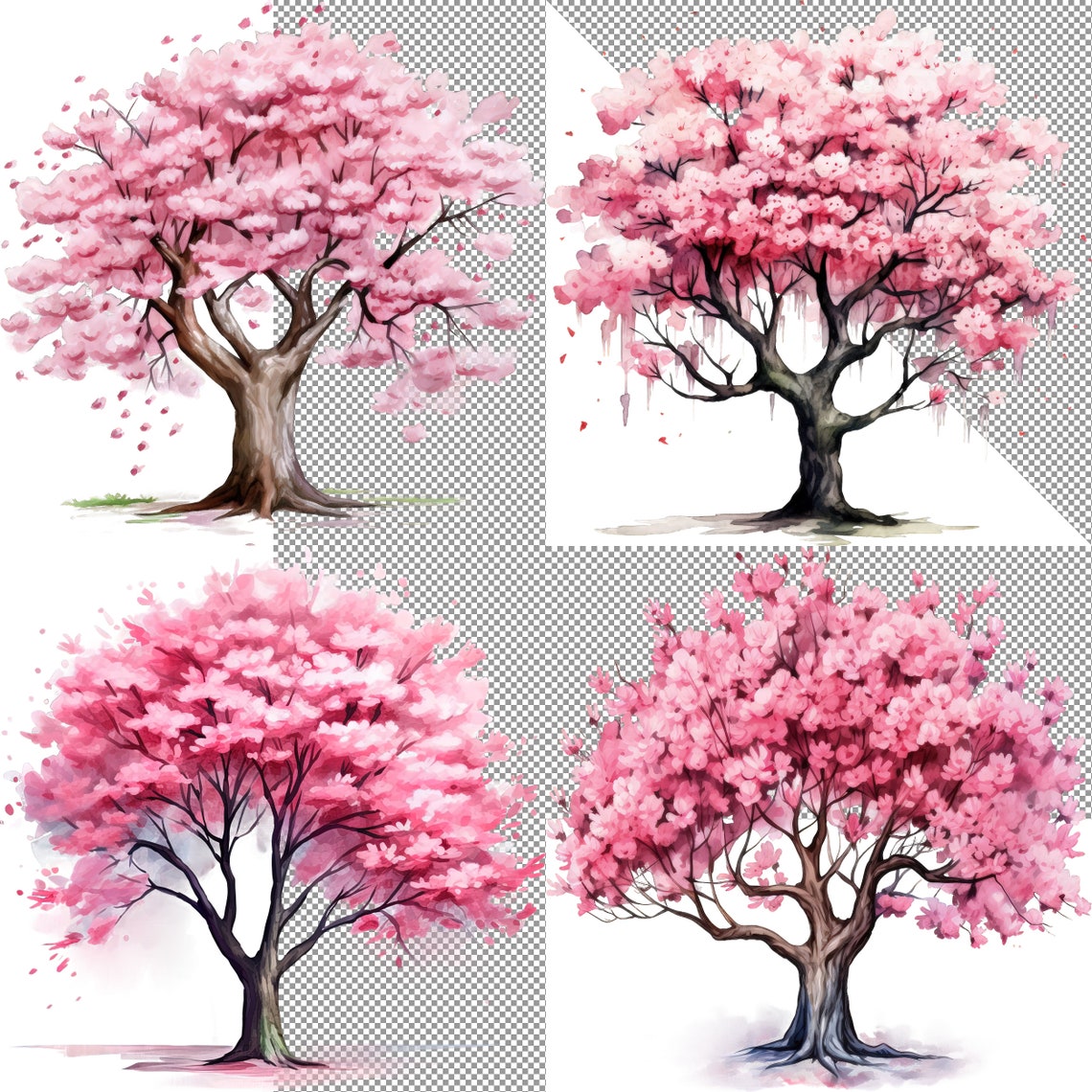 Cherry Blossom Tree Clipart, Watercolor Cherry Blossom Tree Clipart ...