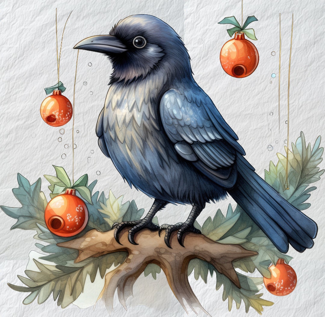 Christmas Heartwarming Crow PNG Clipart,joyful Crow Illustration ...