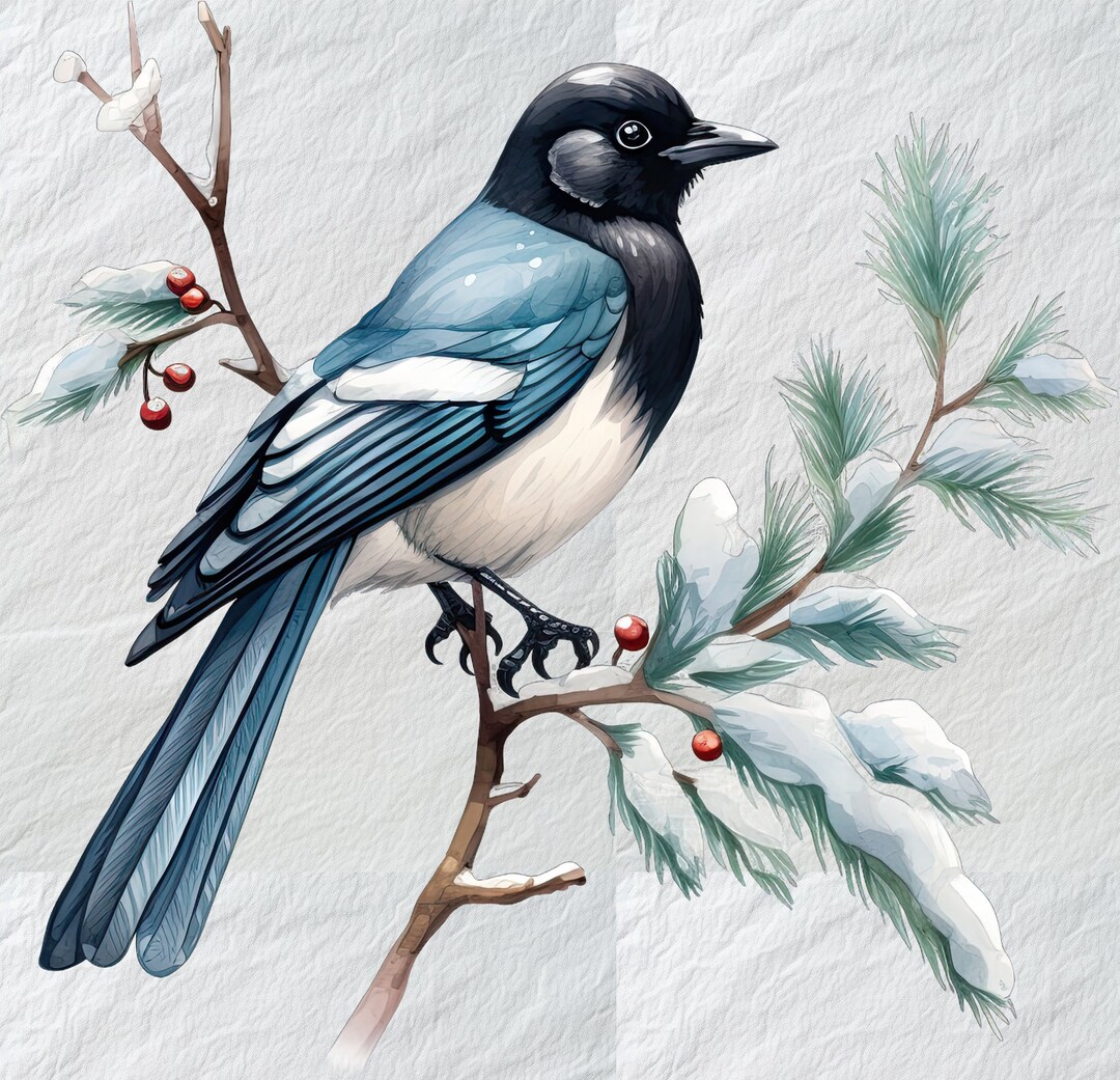 Christmas Magpie On Frost Png Clipartfestive Christmas Magpie On Frostsnowy Decor Digital