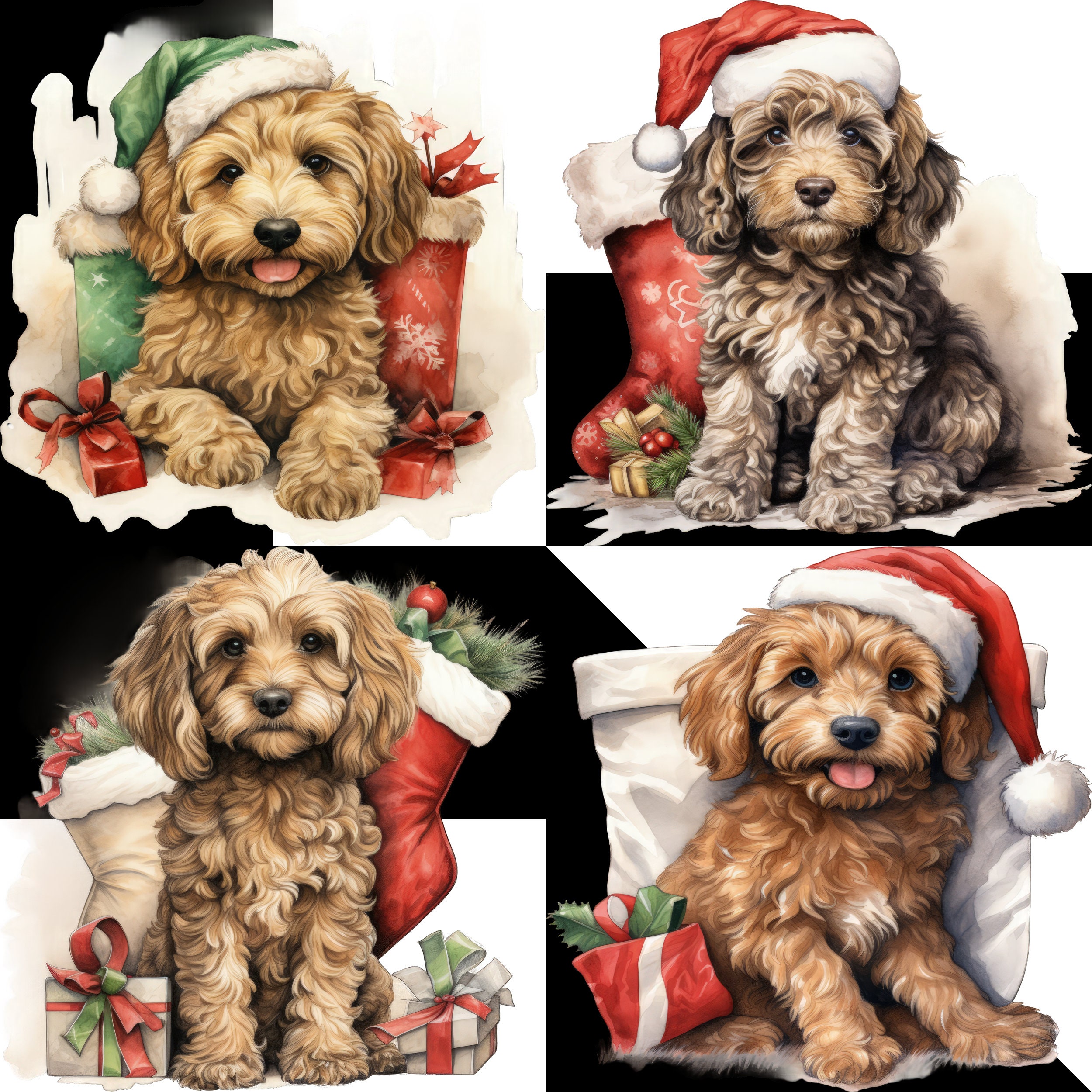 Gleeful Cockapoo Christmas PNG, Celebrate Christmas With Cockapoos ...