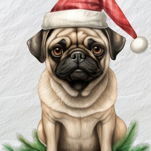 Festive Pug Elf Ears Clipart, Christmas Dog, Festive Pet Art, Pug ...