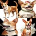 Gleeful Basenji Christmas Yodel Clipart,basenji Dog Yodeling for ...