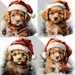 Christmas Puppy Watercolor Clipart Art for Desk Art for Kids - Etsy