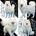 Haunting Samoyed Skeleton Clipart, Samoyed Skeleton Clipart, Haunting ...