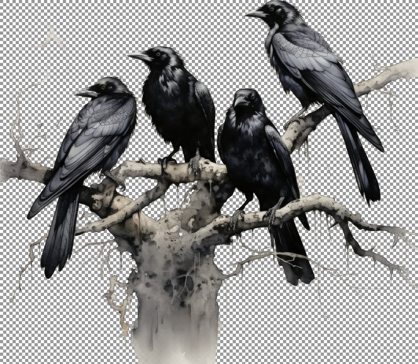 Black Ravens on Branch Clipart, Images for Shirts, Digital Sticker for ...