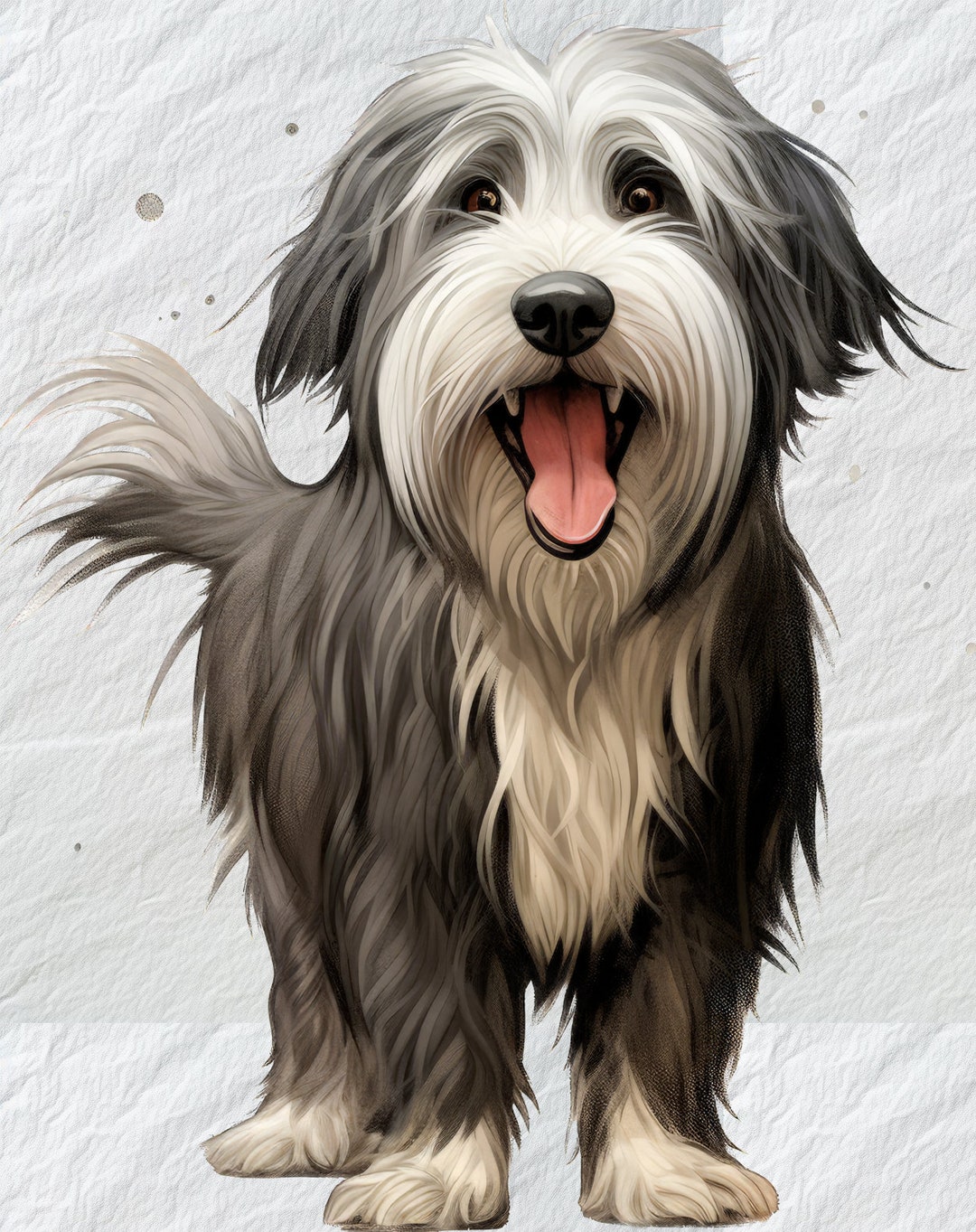Chilling Bearded Collie PNG, Wizardly Whiskers,chilled Bearded Collie ...