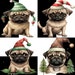 Festive Pug Elf Ears Clipart, Christmas Dog, Festive Pet Art, Pug ...