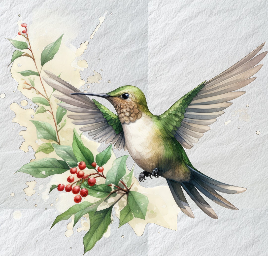 Christmas Heartwarming Hummingbird PNG Clipart,elegant Christmas ...