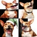 Gleeful Basenji Christmas Yodel Clipart,basenji Dog Yodeling for ...