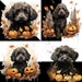 Spooky Cockapoo Halloween PNG Haunted Cockapoo Clipart - Etsy