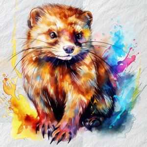 Mongoose Illustration,mongoose Wildlife Art Print,nature-inspired ...