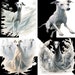 Haunting Whippet Ghost Apparitions Clipart, Ghostly Whippet Clip Art ...