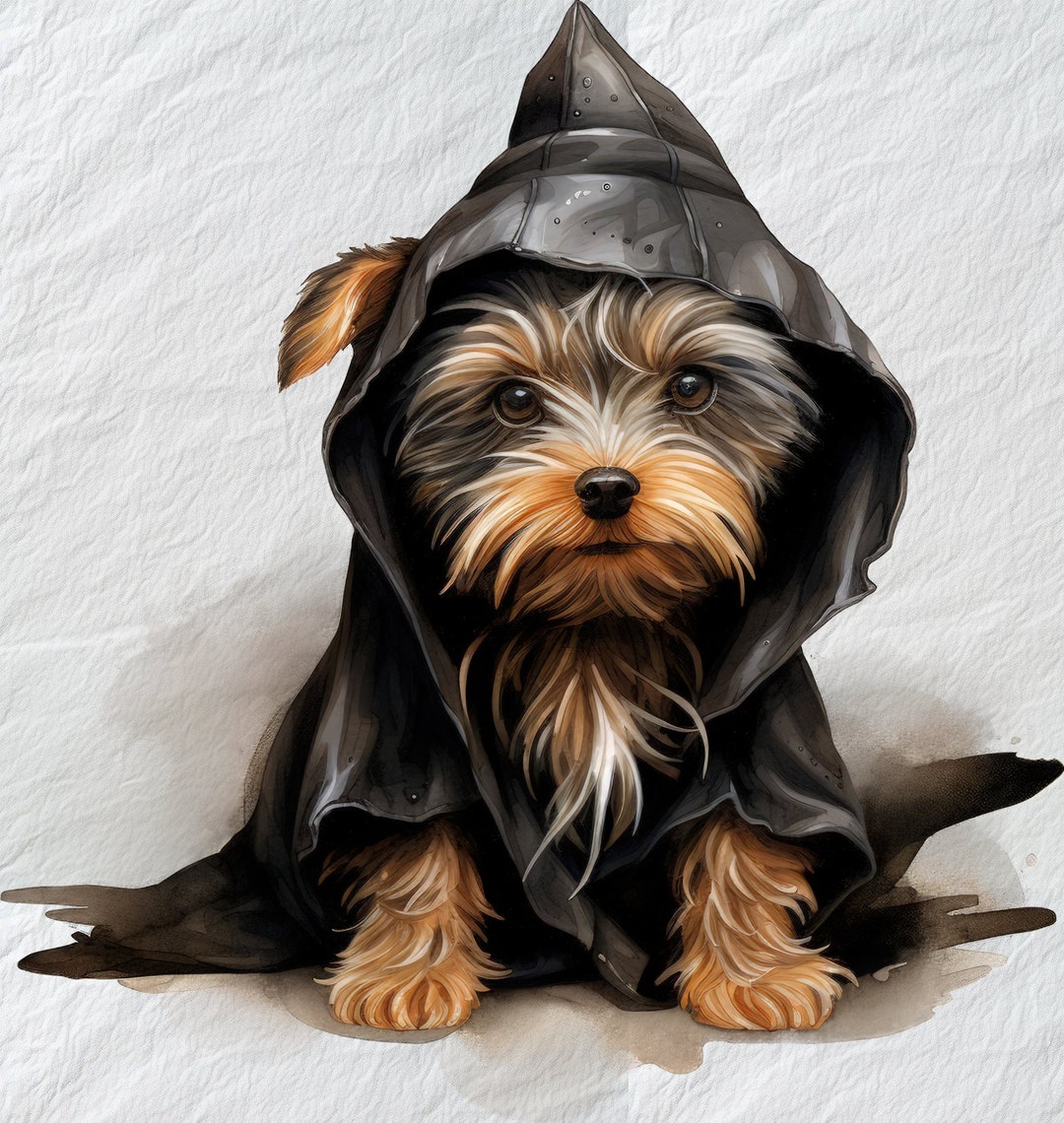 Spooky Yorkshire Terrier Halloween,yorkshire Terrier Silhouette,a ...