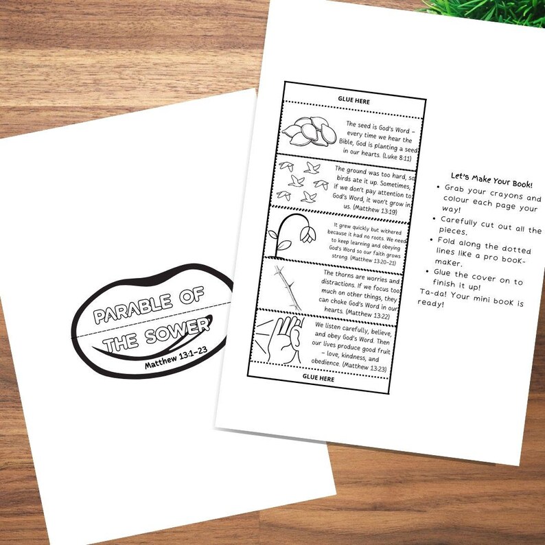 Parable of the Sower Folding Surprise Bible Story Craft, Bible Lesson ...