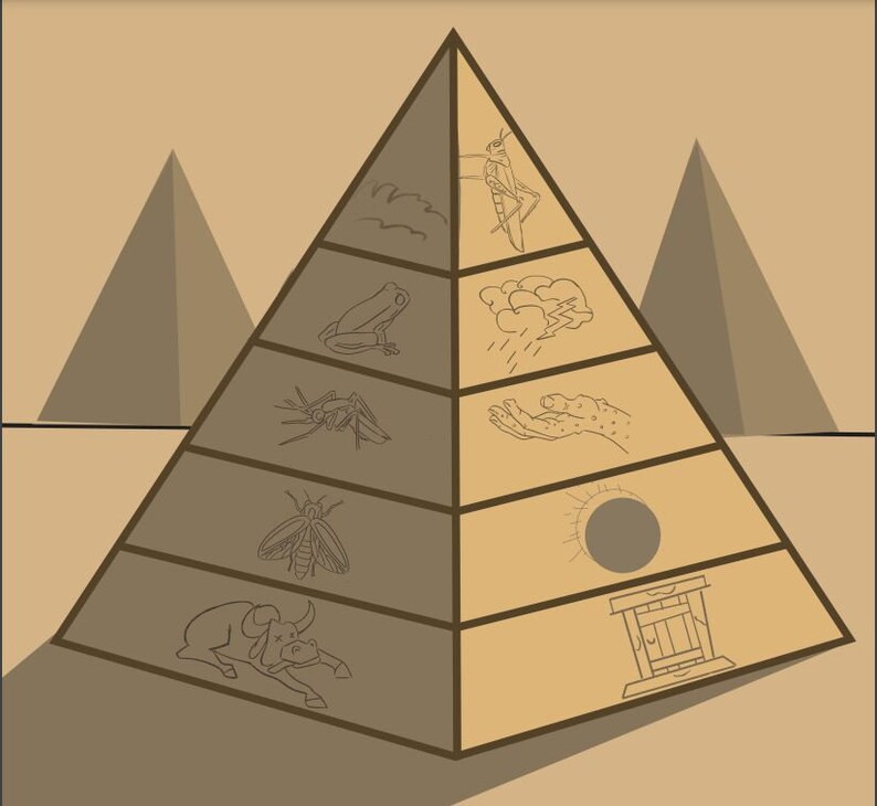 Plagues of Egypt, Printable Bible Activity, Kids Passover Lesson, Ten ...