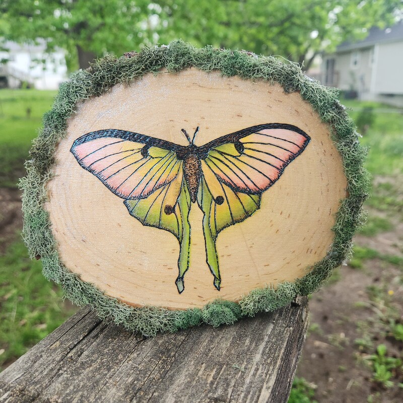 Wood Burned Art - Etsy