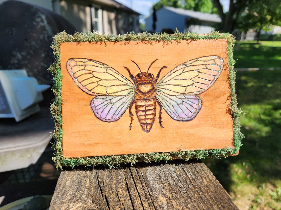 Pastel Rainbow Cicada Wall Decor Handmade Pyrography Art, Insect ...