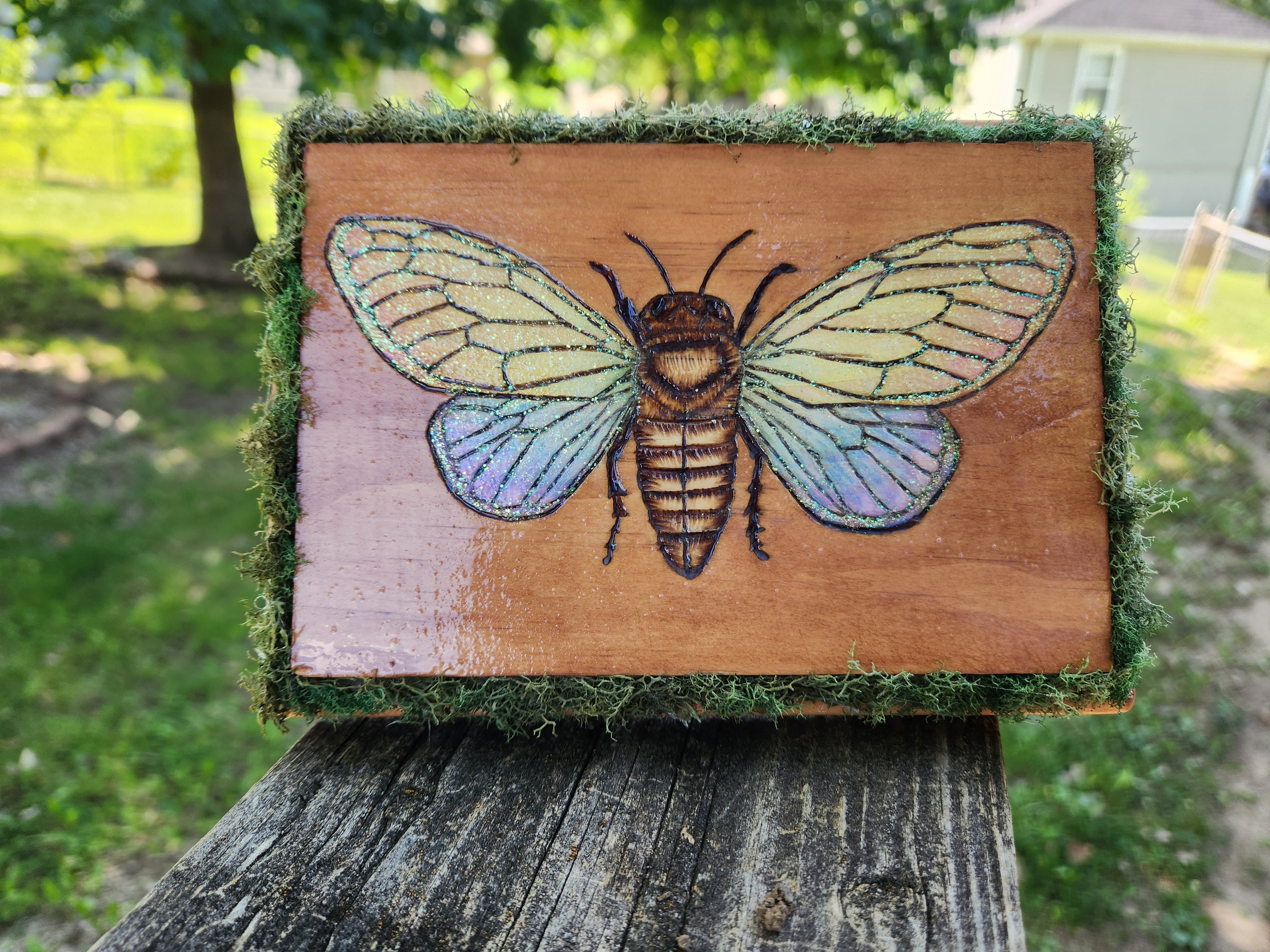 Pastel Rainbow Cicada Wall Decor Handmade Pyrography Art, Insect Moss ...