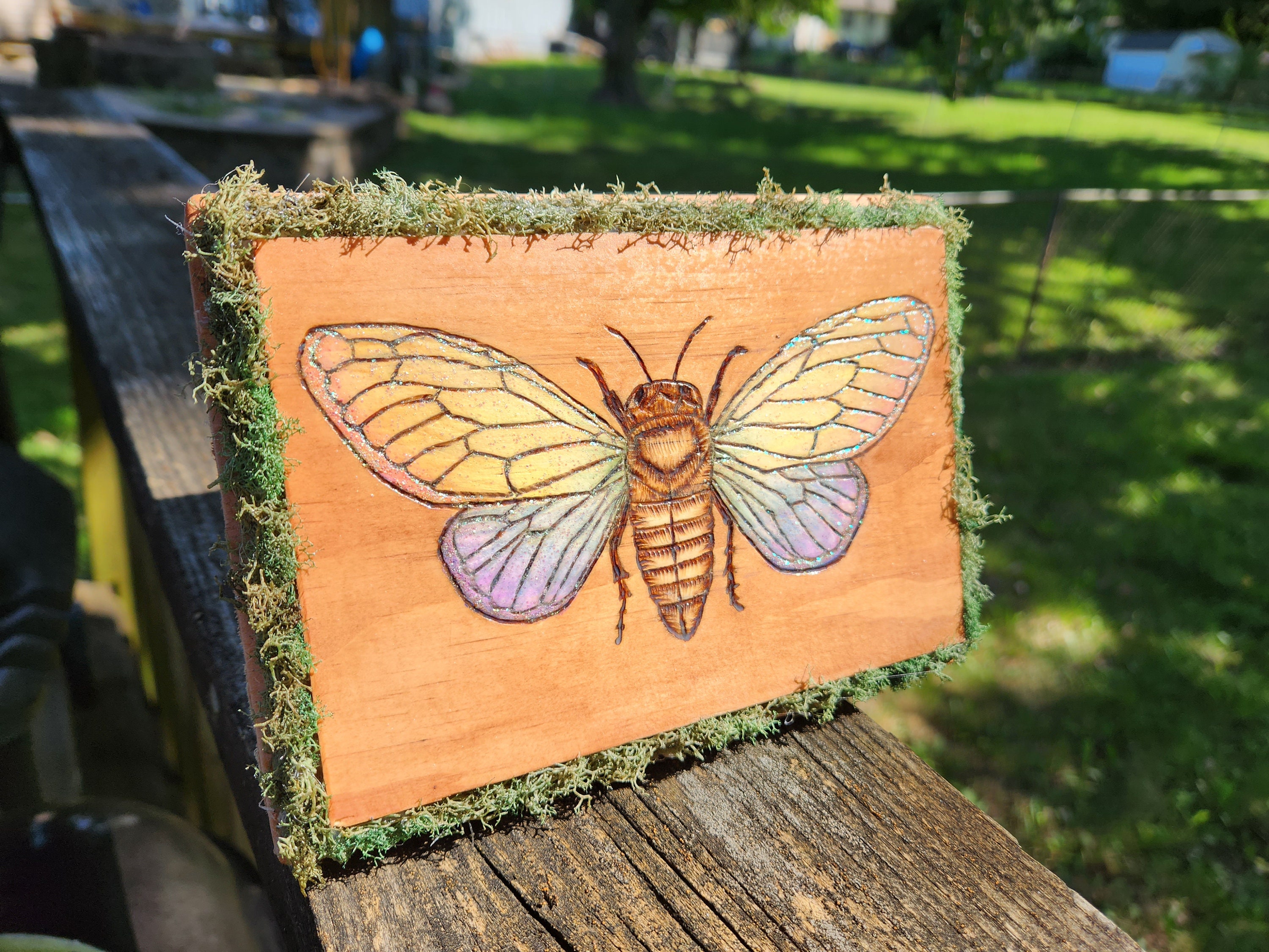 Pastel Rainbow Cicada Wall Decor Handmade Pyrography Art, Insect ...