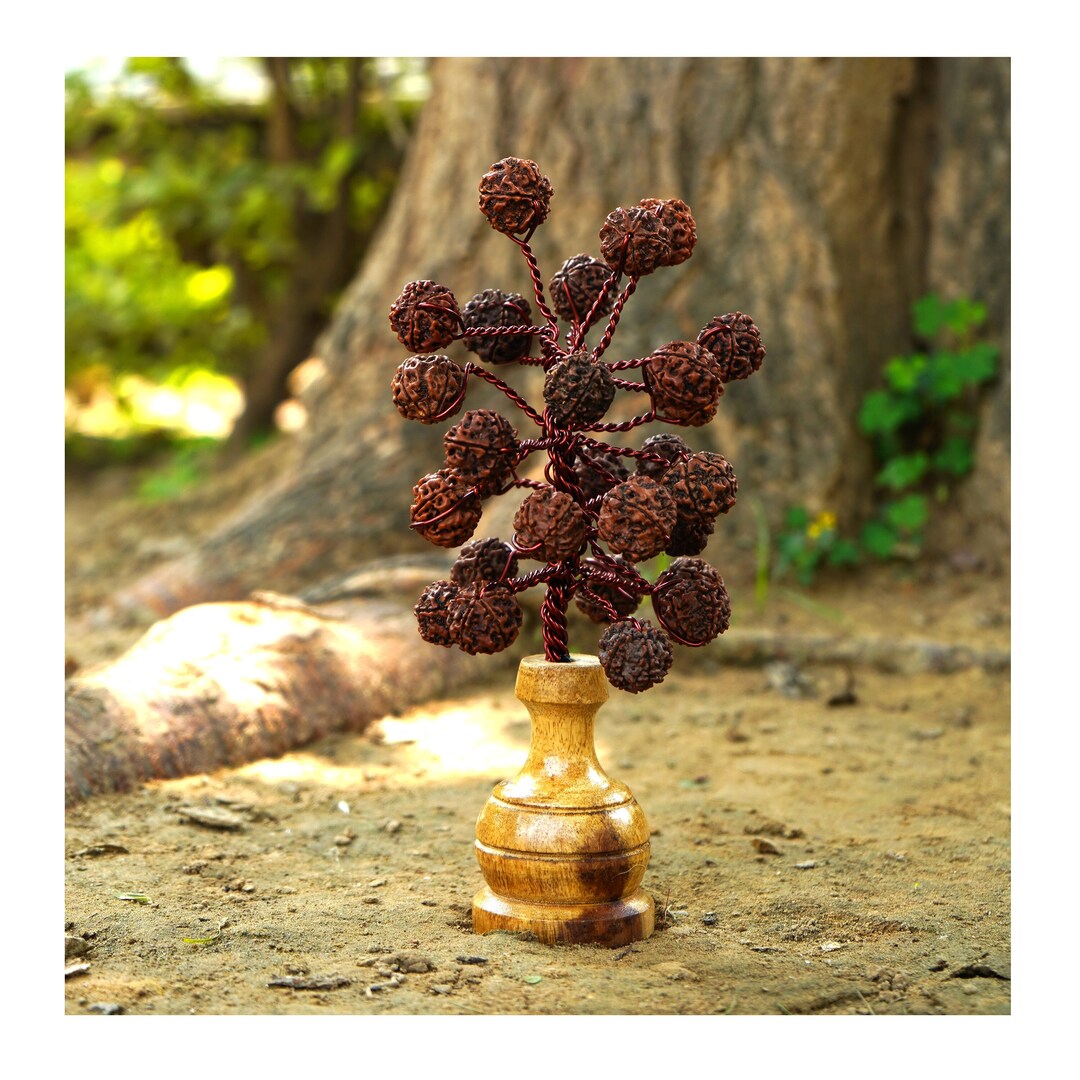 Handmade Rudraksha Tree: Genuine 5 Face/mukhi Rudraksha, Lab Certified ...
