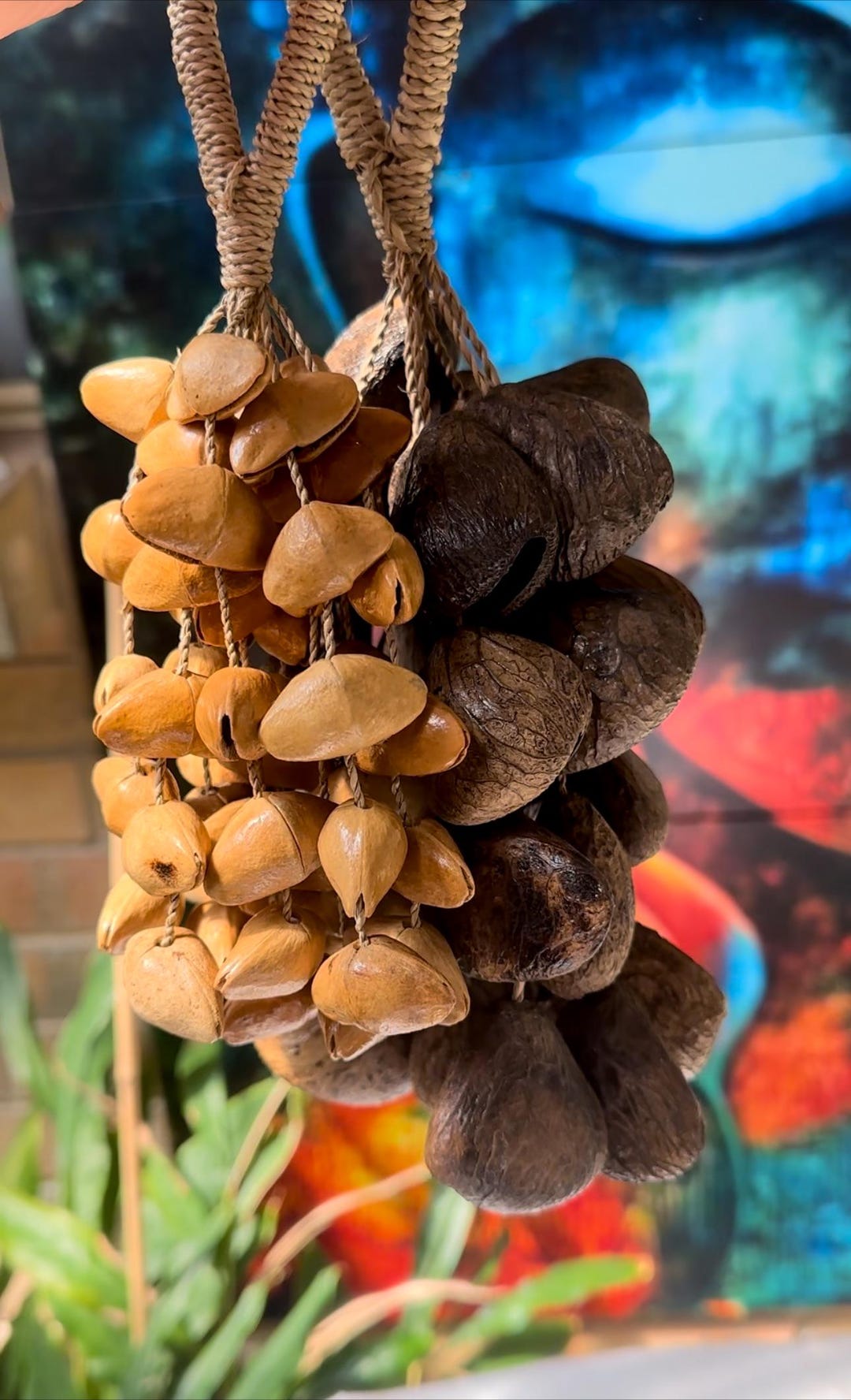 Kenari/chacha-bendo/panji Seedpods...hand Rattles....bamboo/aluminum ...