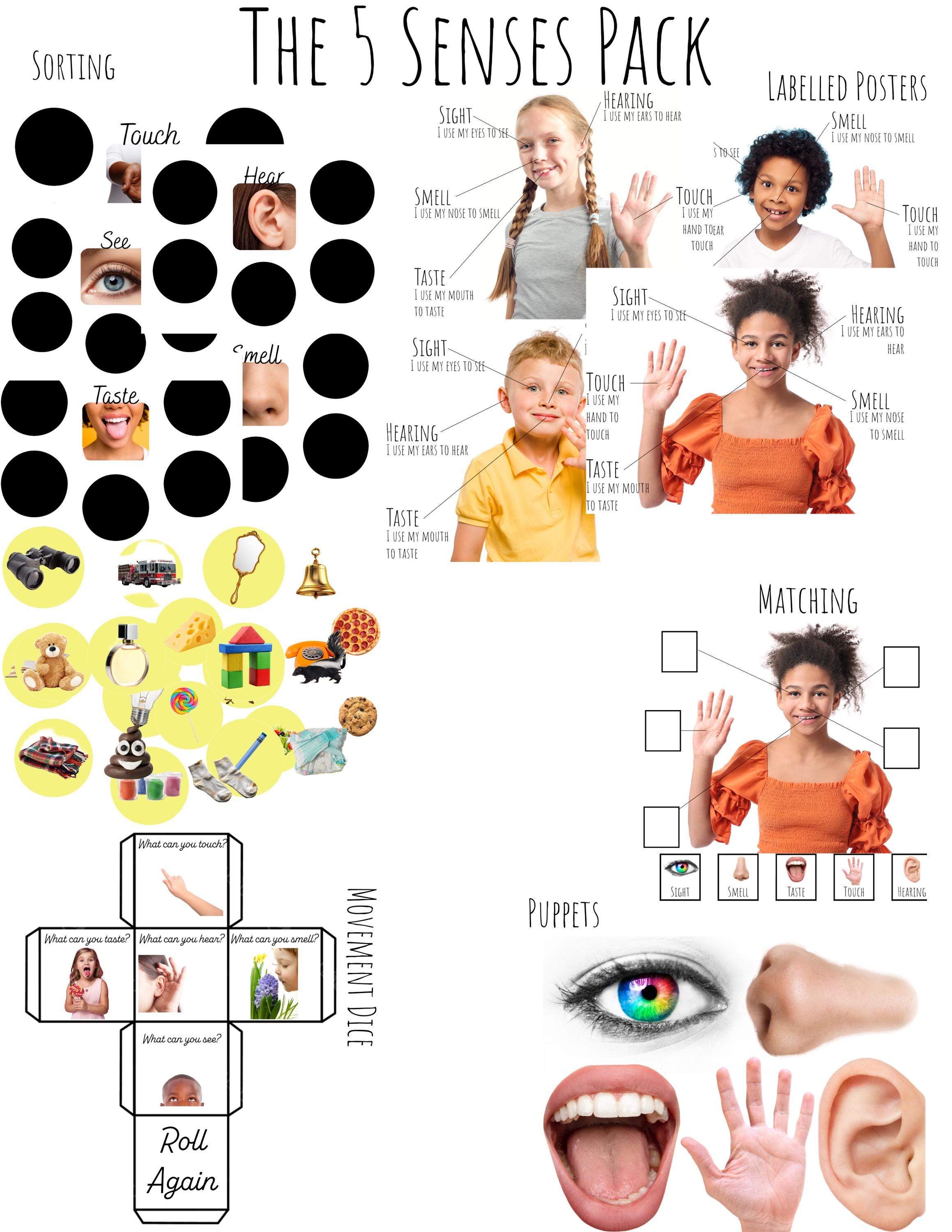The 5 Senses Learning Pack - Etsy