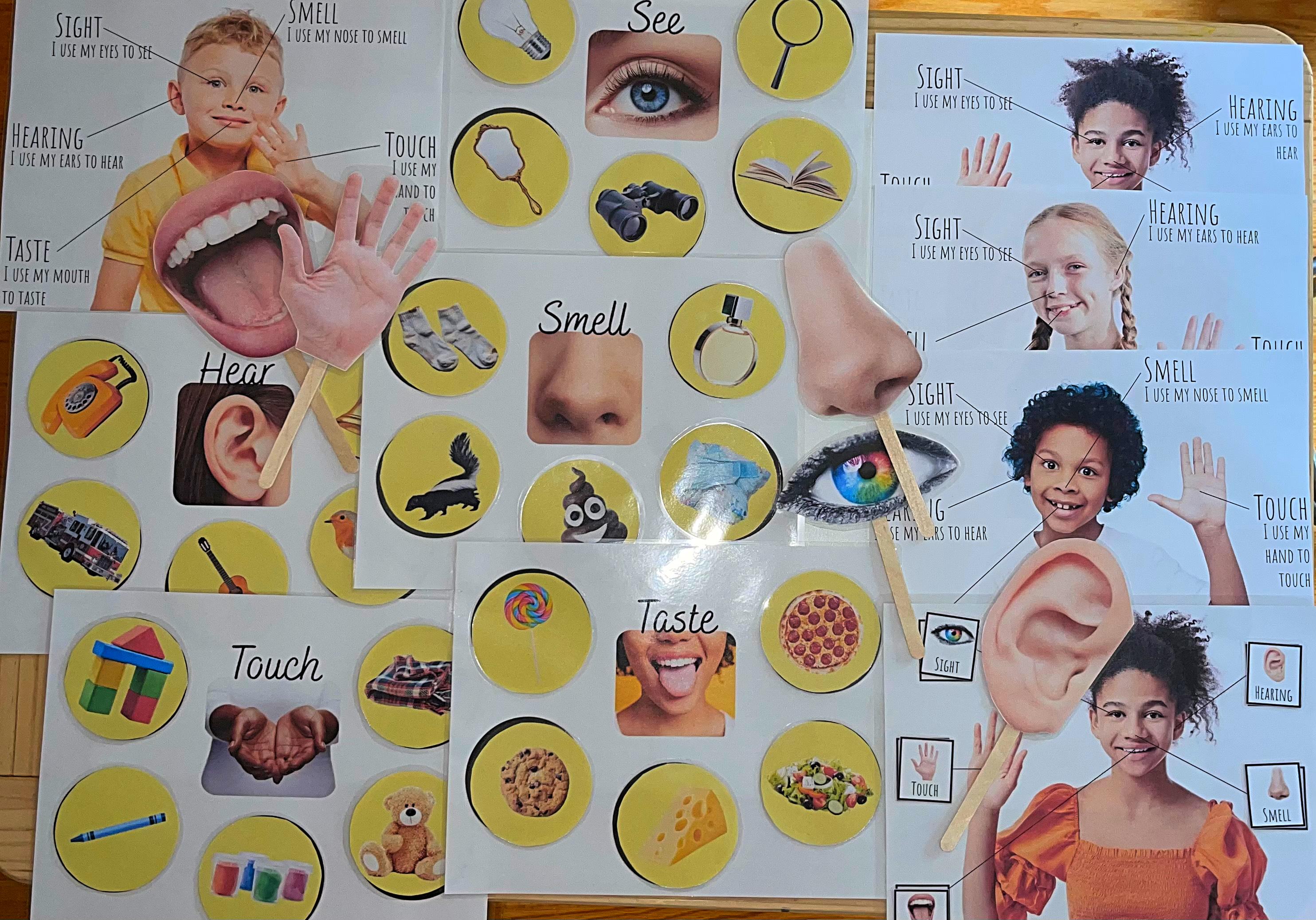 The 5 Senses Learning Pack - Etsy