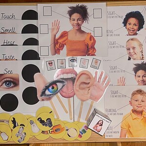 The 5 Senses Learning Pack - Etsy