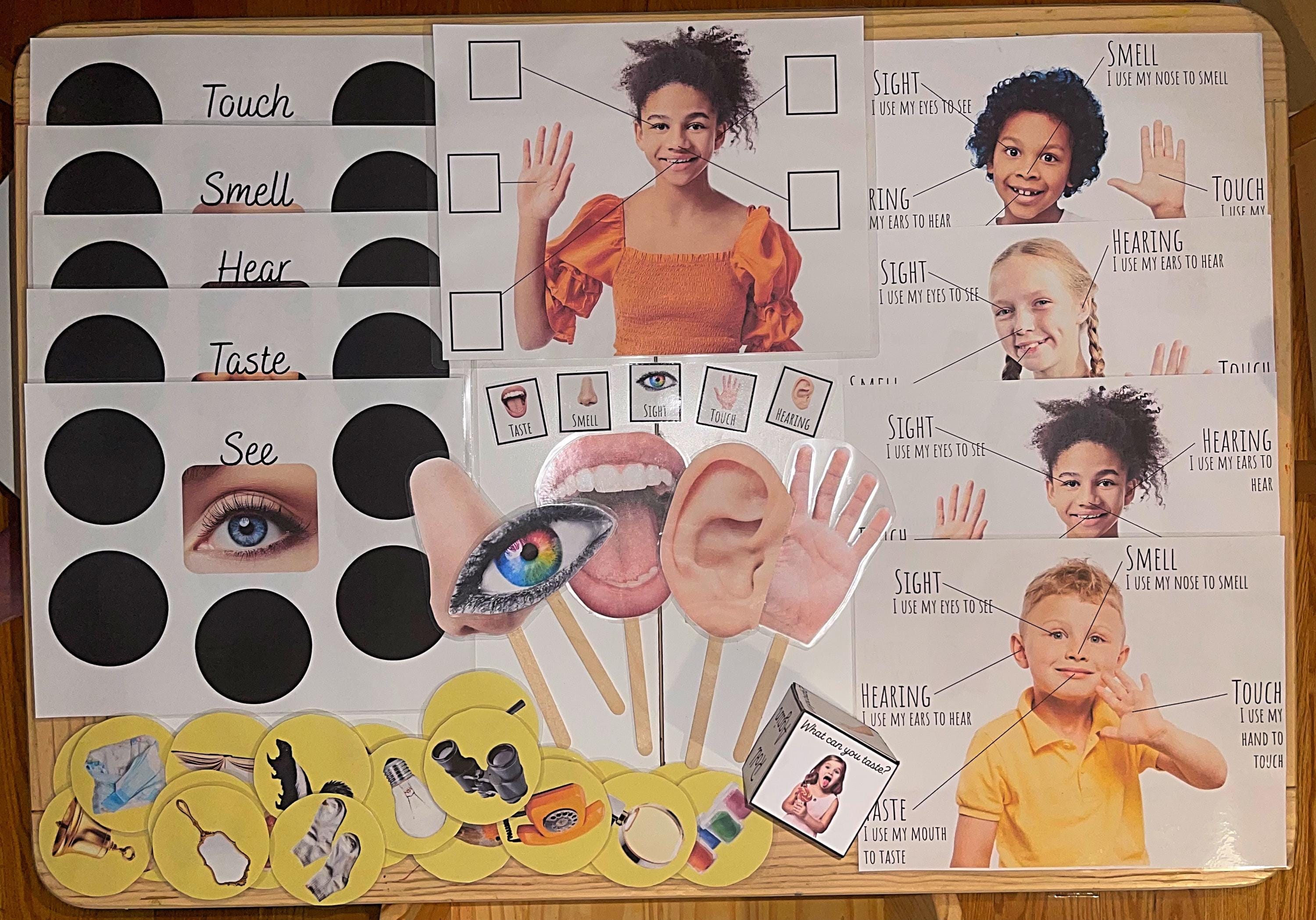 The 5 Senses Learning Pack - Etsy