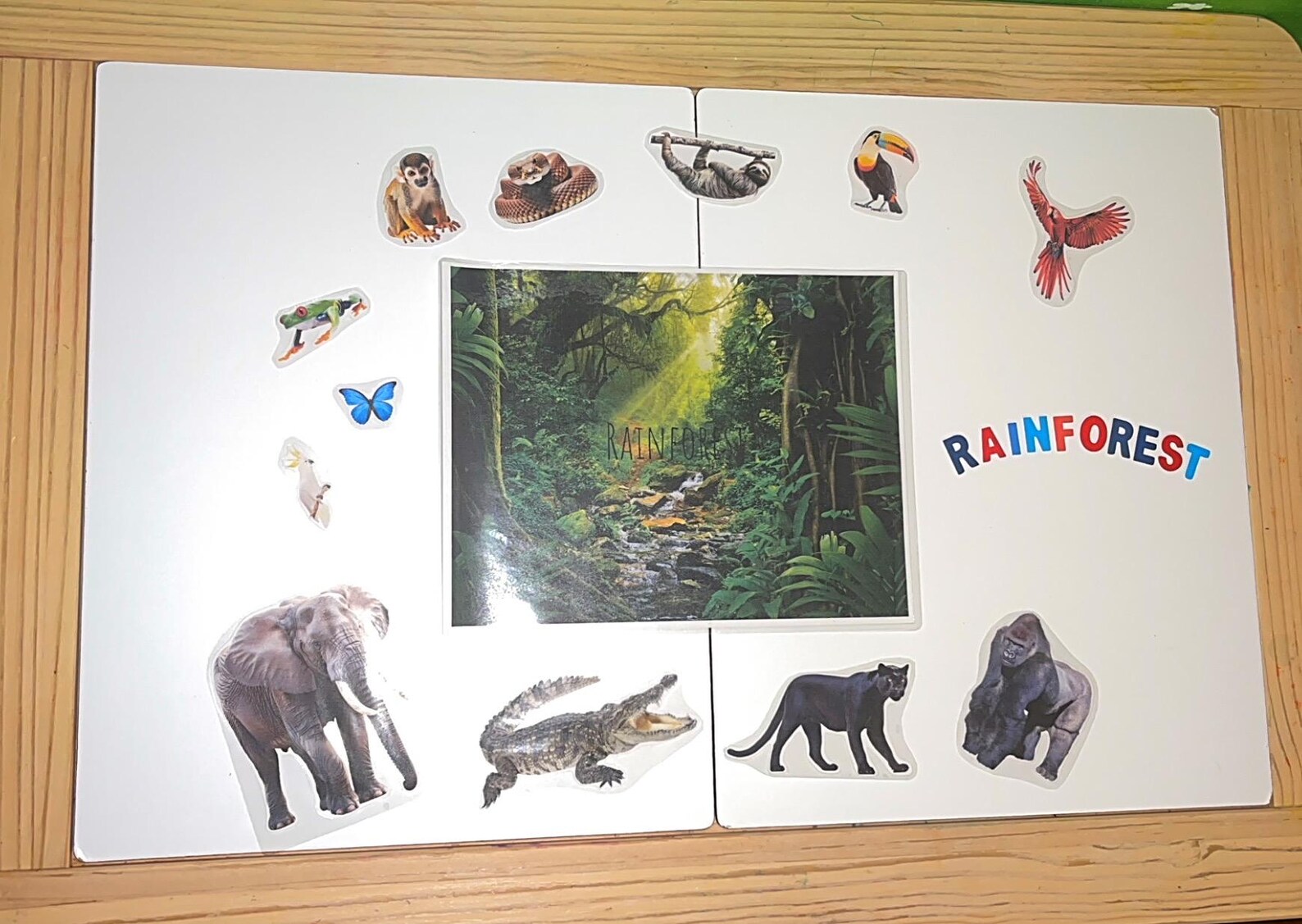 Zoo Mini Unit, Preschool, Homeschool Resources. Learn About Animals ...