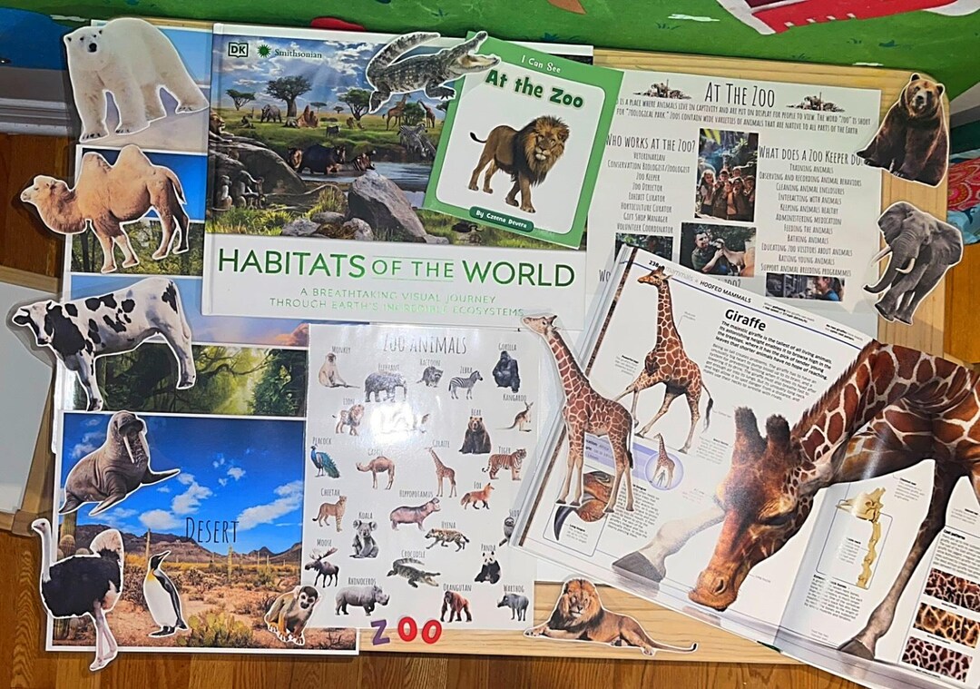 Zoo Mini Unit, Preschool, Homeschool Resources. Learn About Animals ...